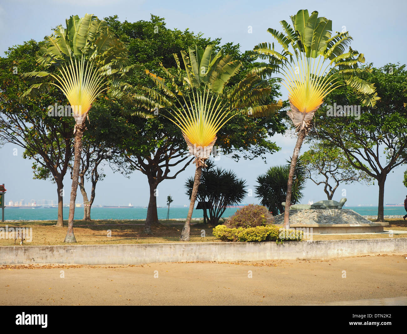 Da Bo Gong Temple at Kusu Island Singapore Stock Photo - Alamy