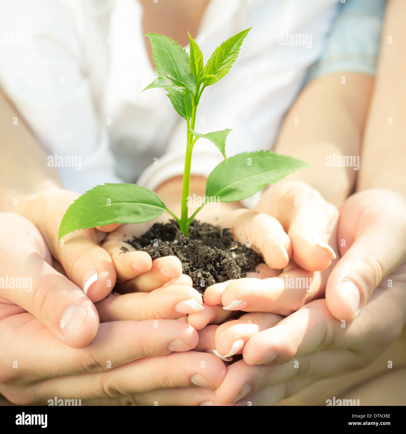 Plant in hands hi-res stock photography and images - Alamy