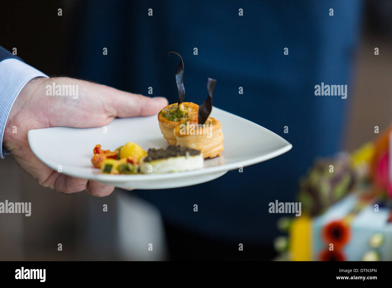 Starter tray hi-res stock photography and images - Alamy