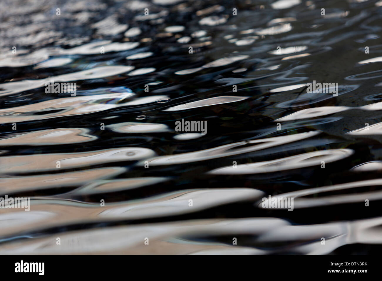 Freshwater surface hi-res stock photography and images - Alamy