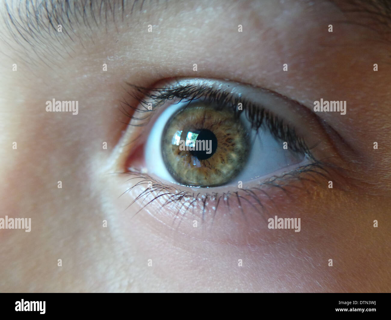 Perception eye hi-res stock photography and images - Alamy
