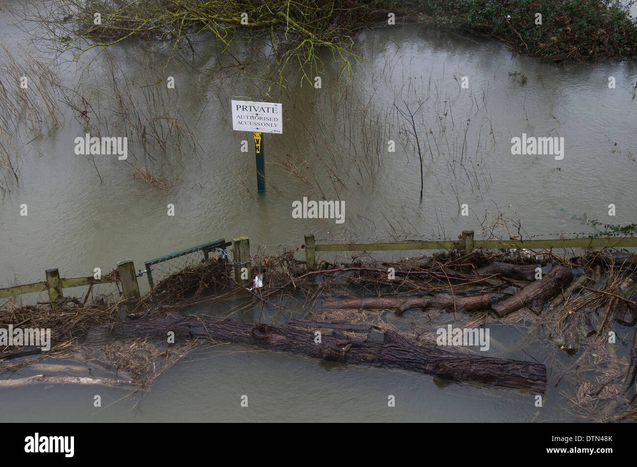 Datchet Floods. River Thames flooding banks and field on private land ...