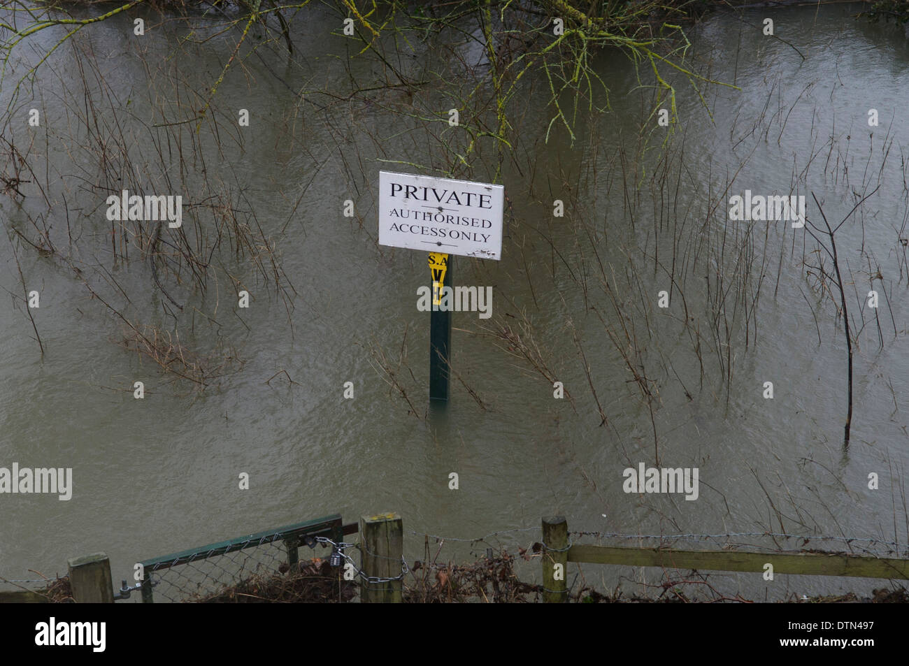 Datchet Floods. River Thames flooding banks and field on private land ...