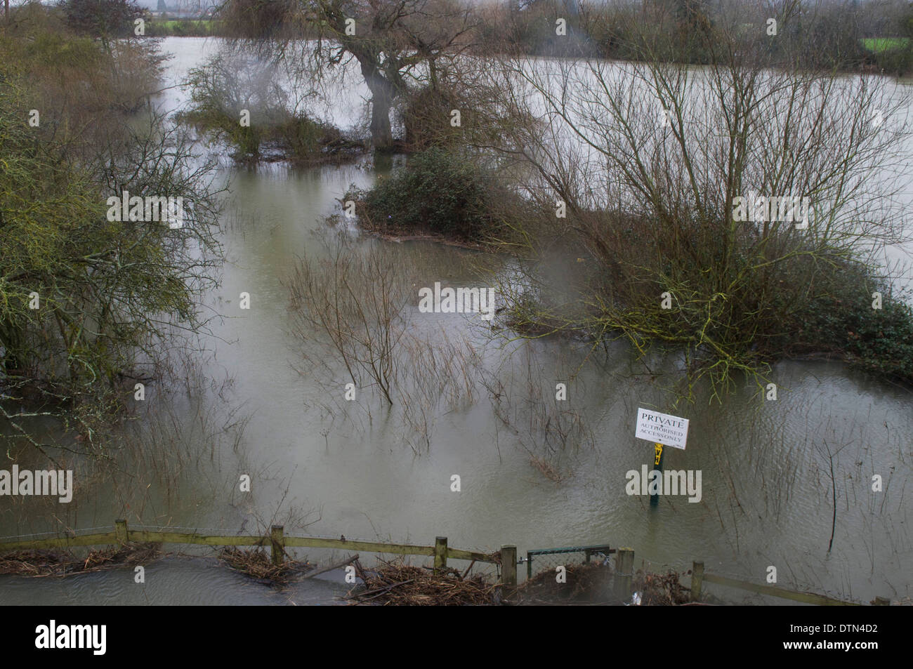 Datchet Floods. River Thames flooding banks and field on private land ...