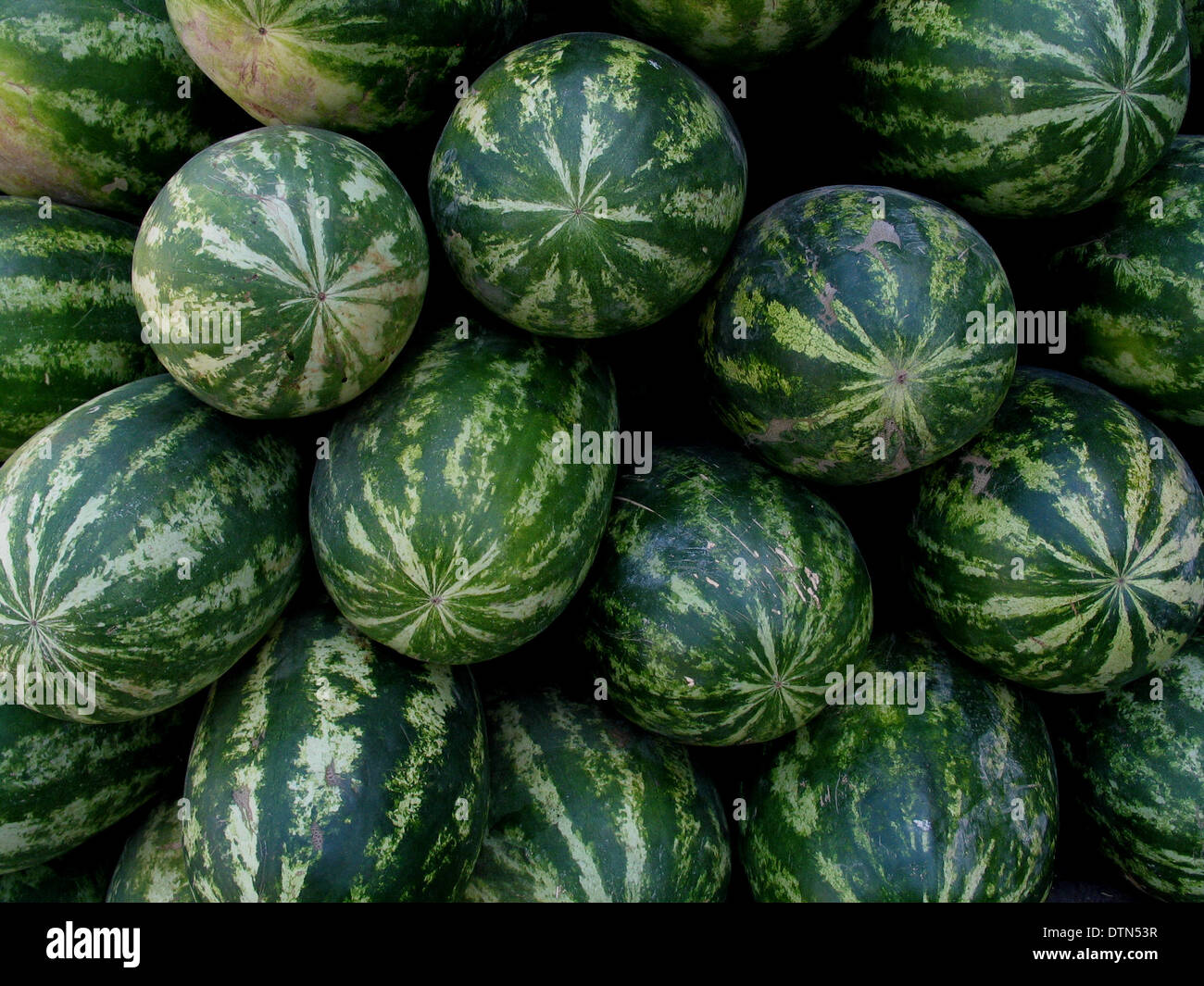 pile of watermelons for sale on the local market in damascus ,syria ...