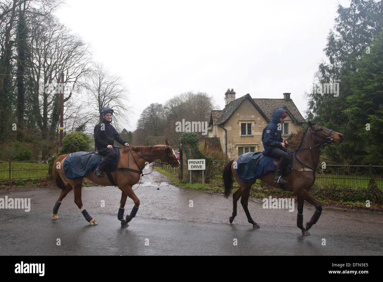 Princess anne gatcombe park horse hi-res stock photography and images ...