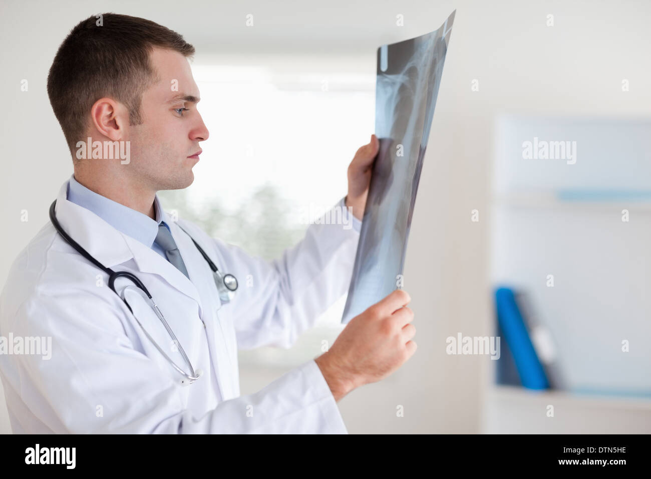 Doctor checking x-ray Stock Photo - Alamy