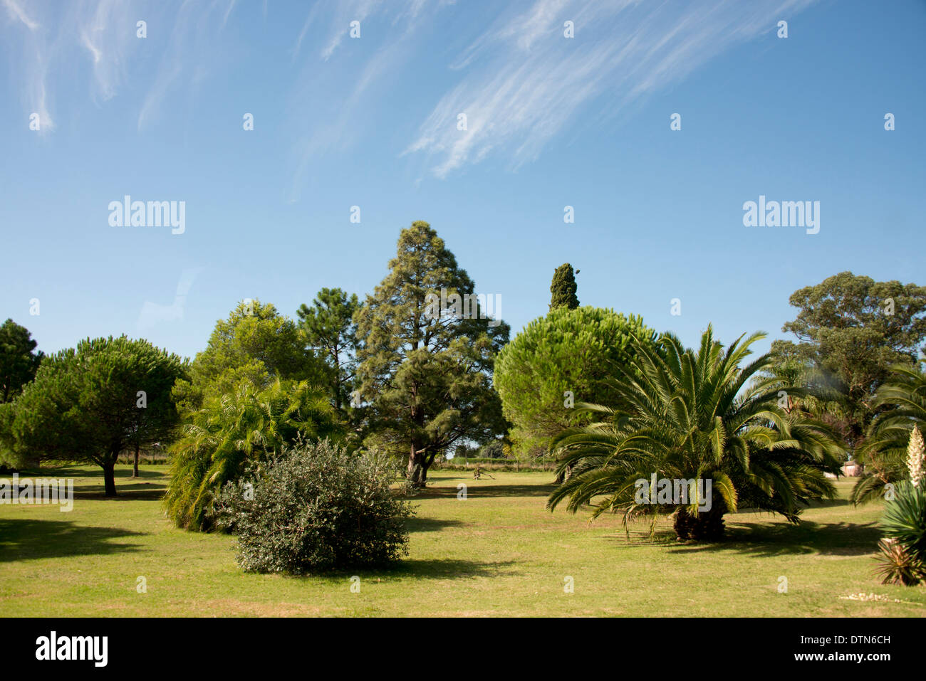 Uruguay, Montevideo. Prado Park Stock Photo - Alamy
