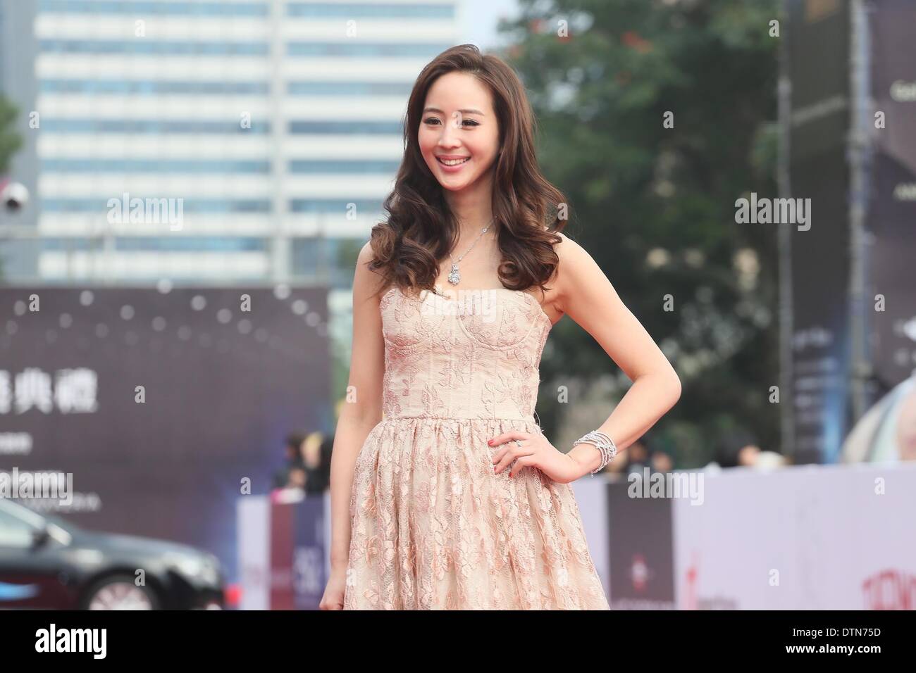 Taipei, Taiwan. 20th Feb, 2014. Joseph Cheng and Ning Chang film for ...
