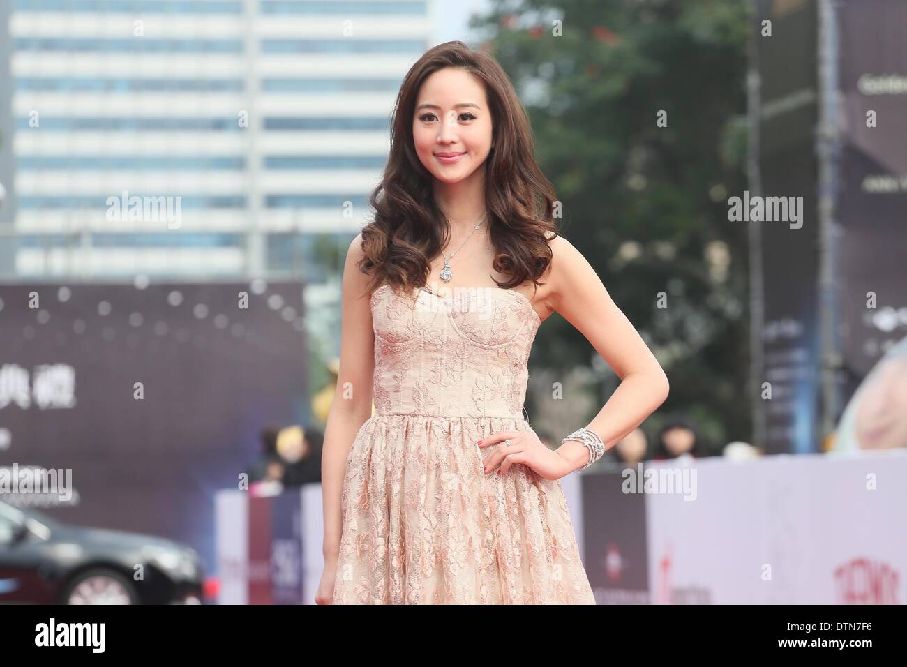 Taipei, Taiwan. 20th Feb, 2014. Joseph Cheng and Ning Chang film for ...