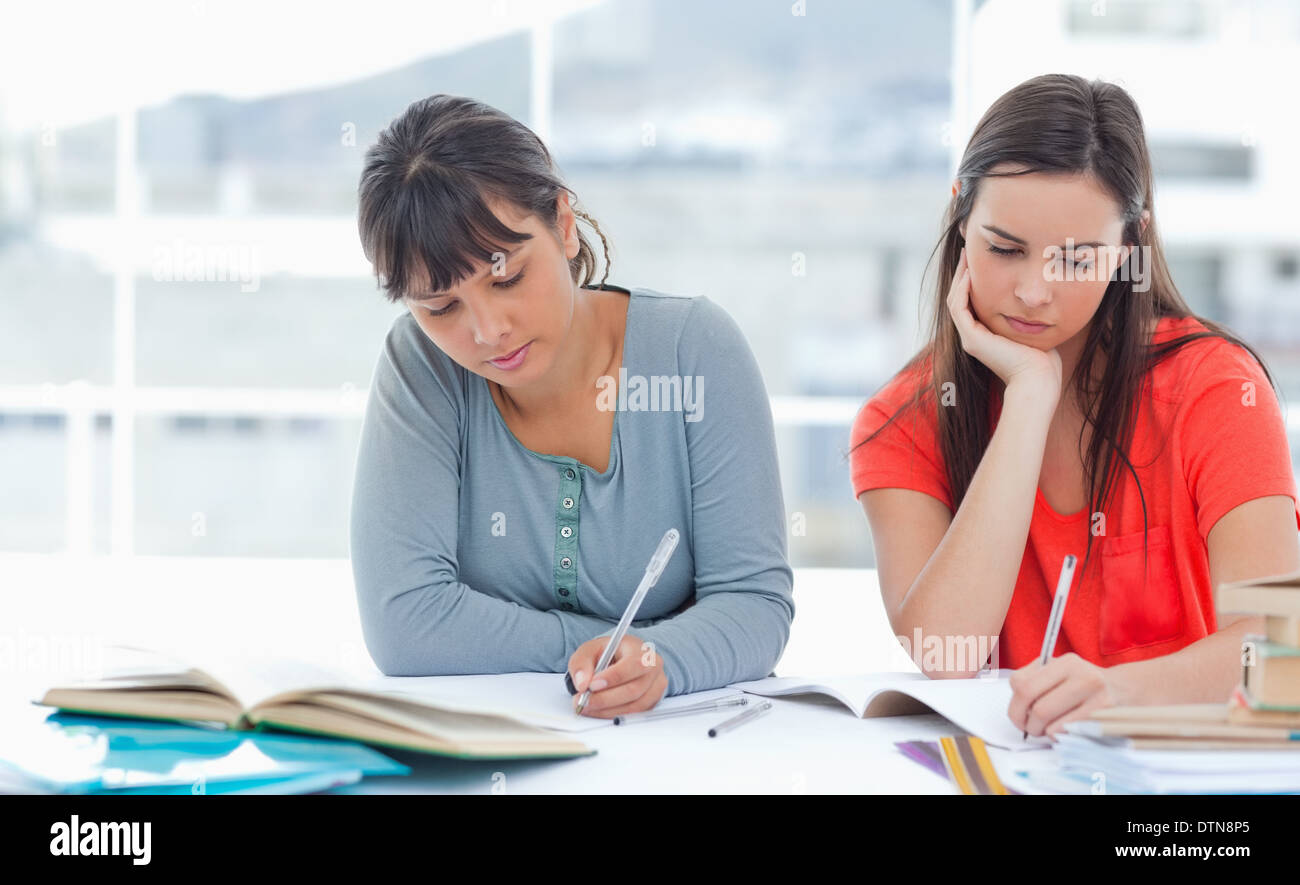 Attractive female student doing homework hi-res stock photography and ...