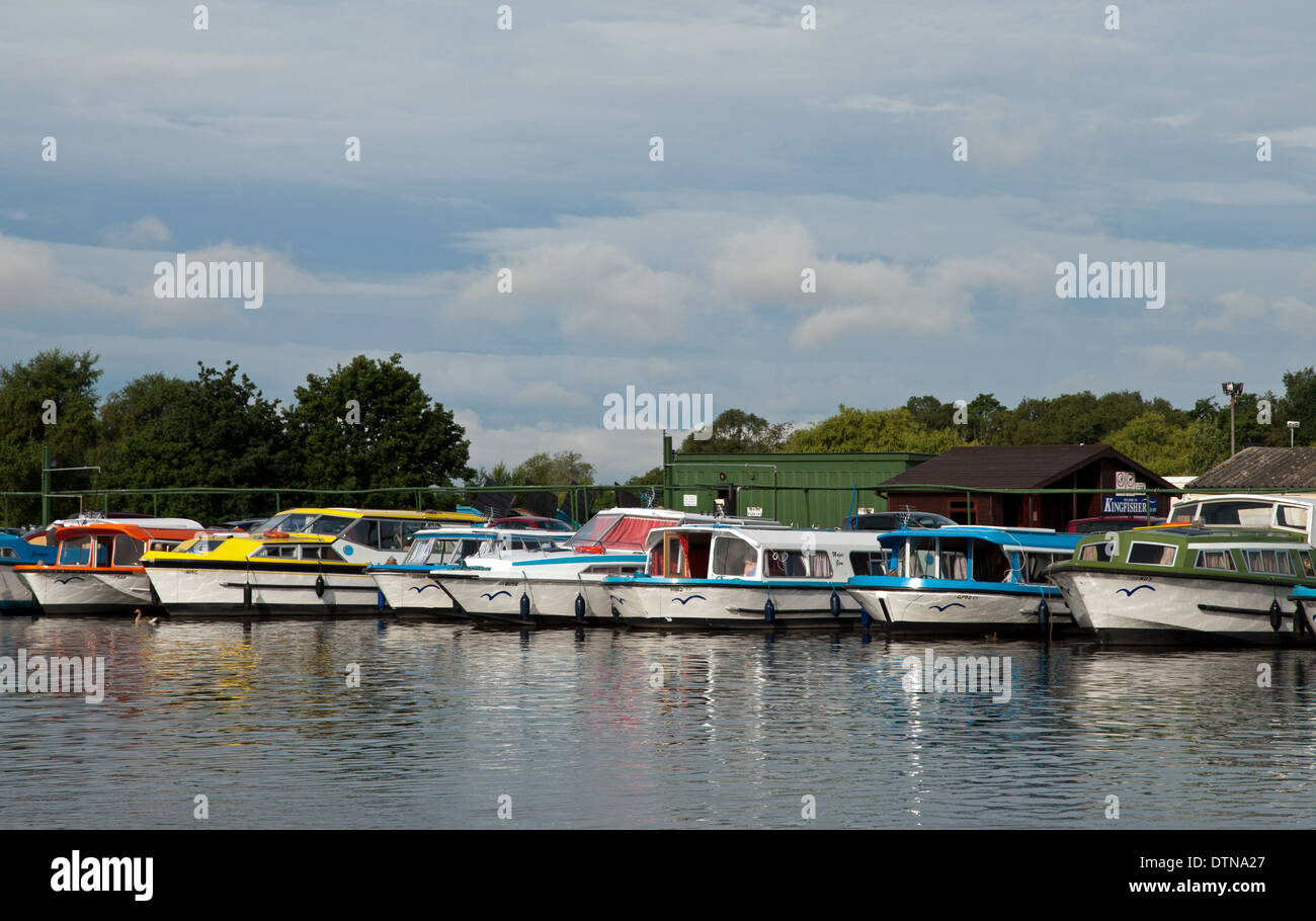 Norfolk Broads cruisers in marina Stock Photo - Alamy