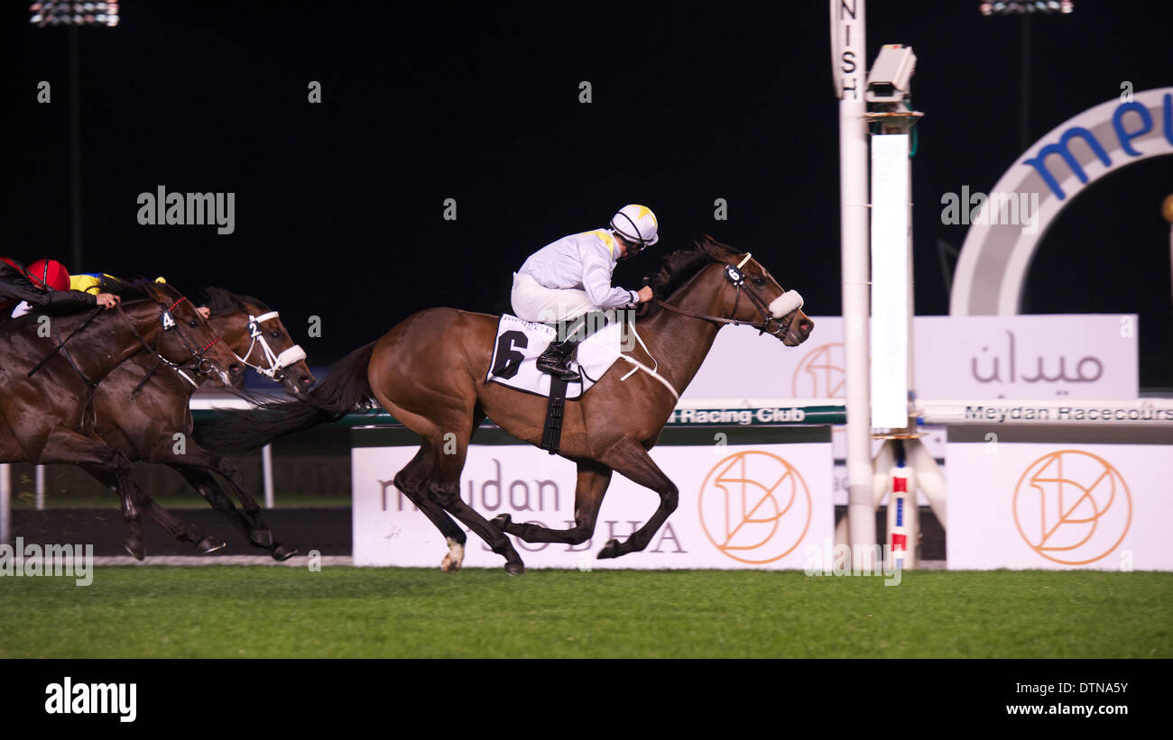 Shane foley hi-res stock photography and images - Alamy