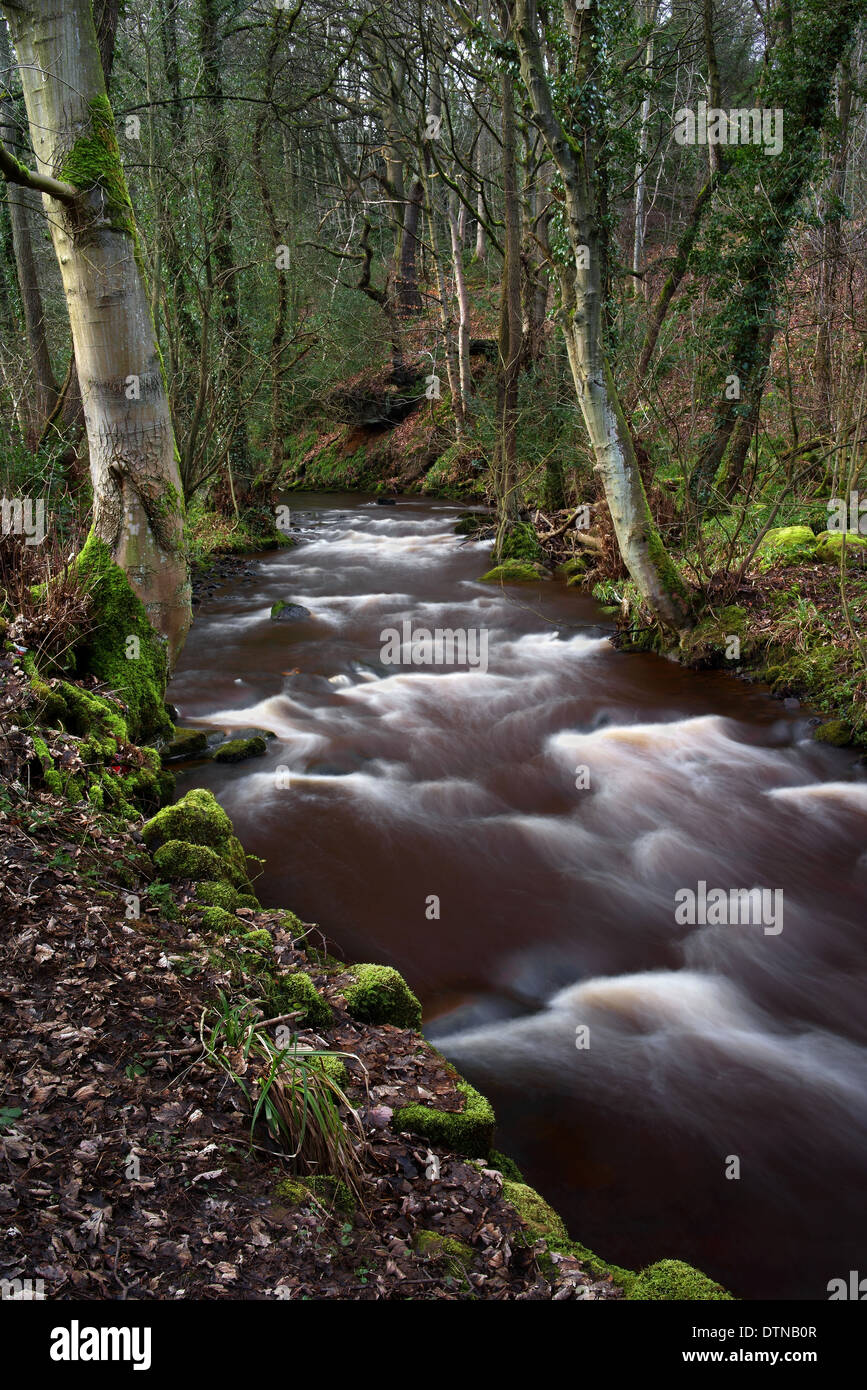 Rivelin valley waterfalls hi-res stock photography and images - Alamy