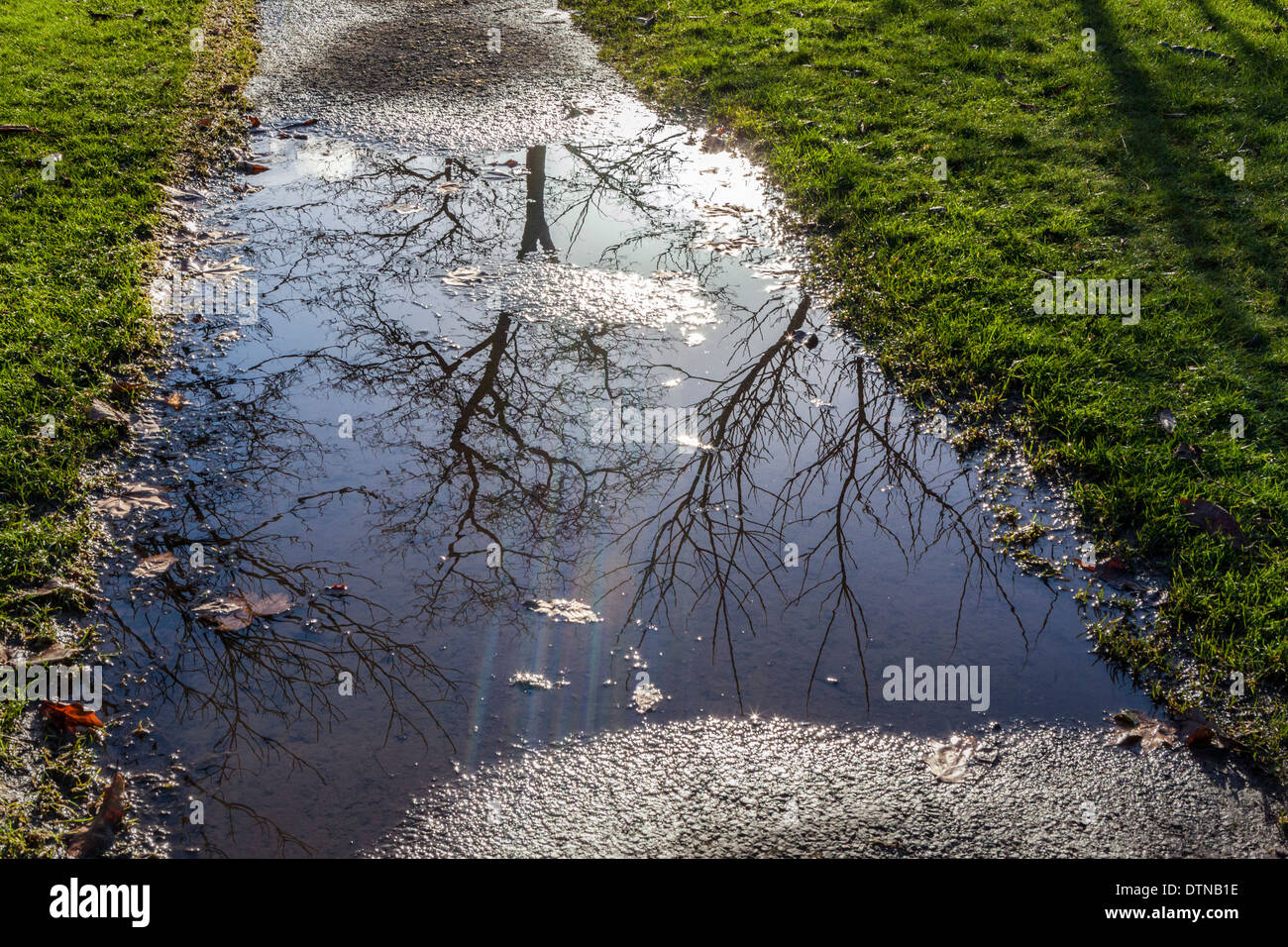 Muddy Puddle High Resolution Stock Photography and Images - Alamy