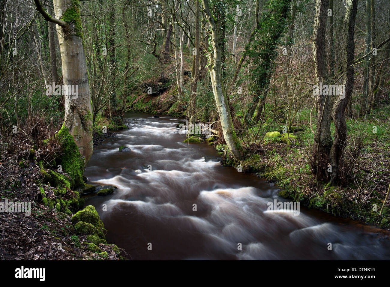 UK,South Yorkshire,Sheffield,Rivelin Valley Waterfalls Stock Photo - Alamy