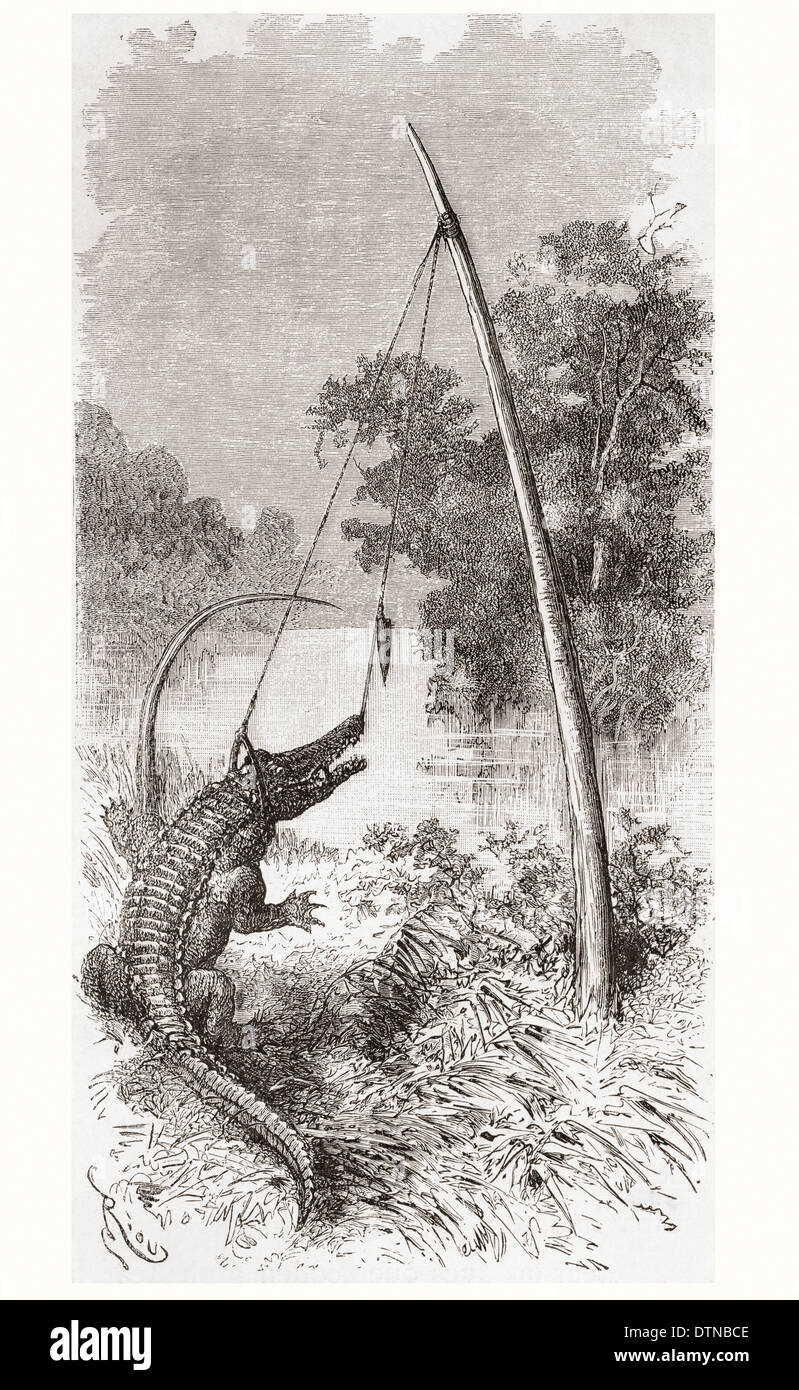 An alligator trap on the Oyapock or Oiapoque River, which forms the ...