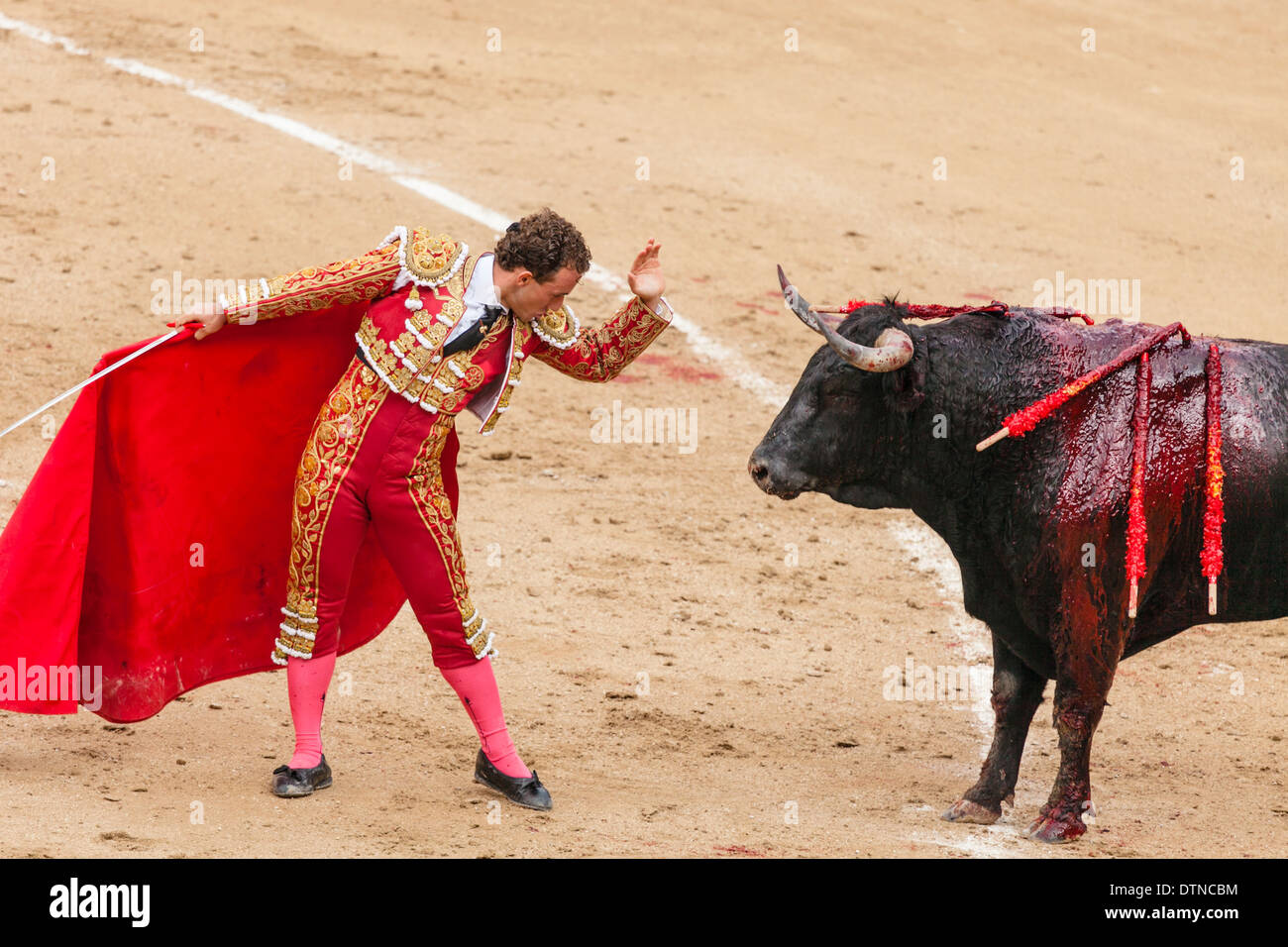 Bullfighting