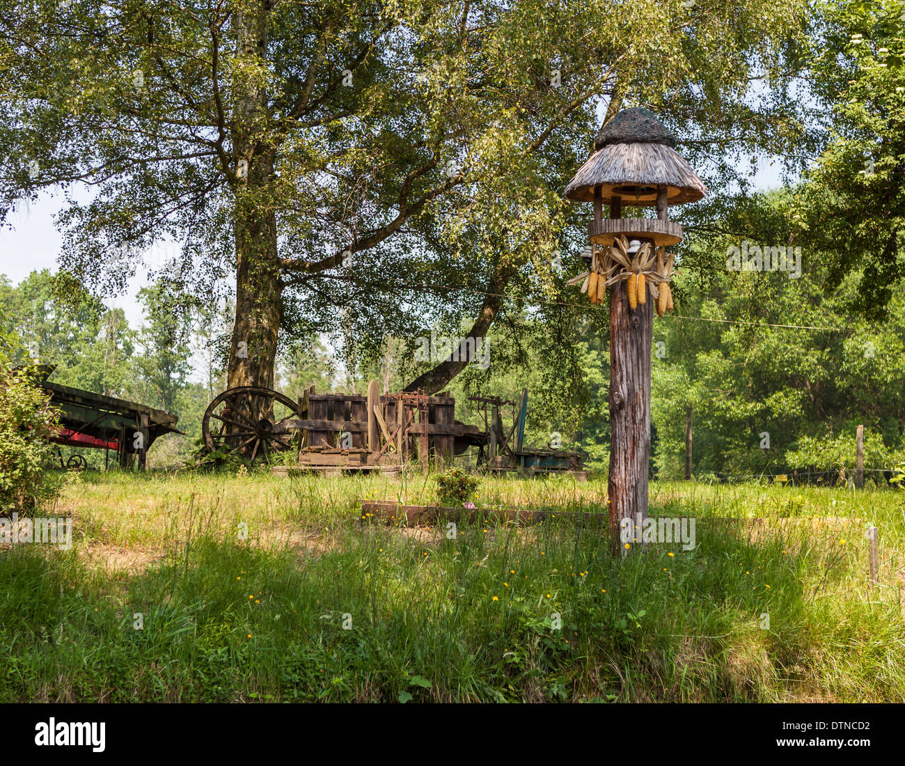 Bird feeder with thatch roof and and disused farm machinery in farm ...