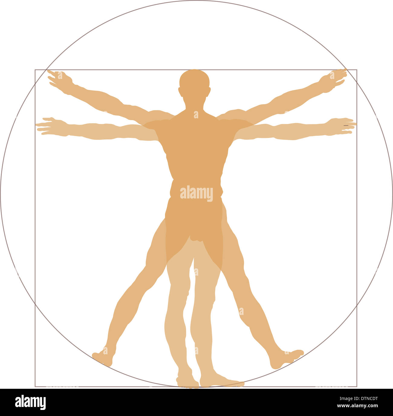 Vitruvius man leonardo da vinci hi-res stock photography and images - Alamy