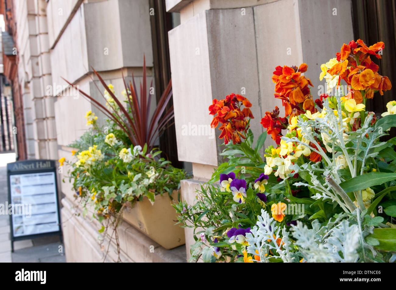 Pretty flowers outside the Albert Hall in Nottingham, England UK Stock ...
