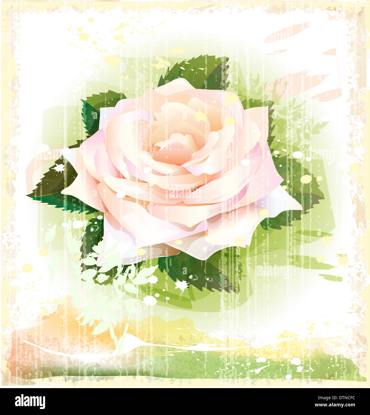 vintage illustration of pink rose Stock Photo - Alamy
