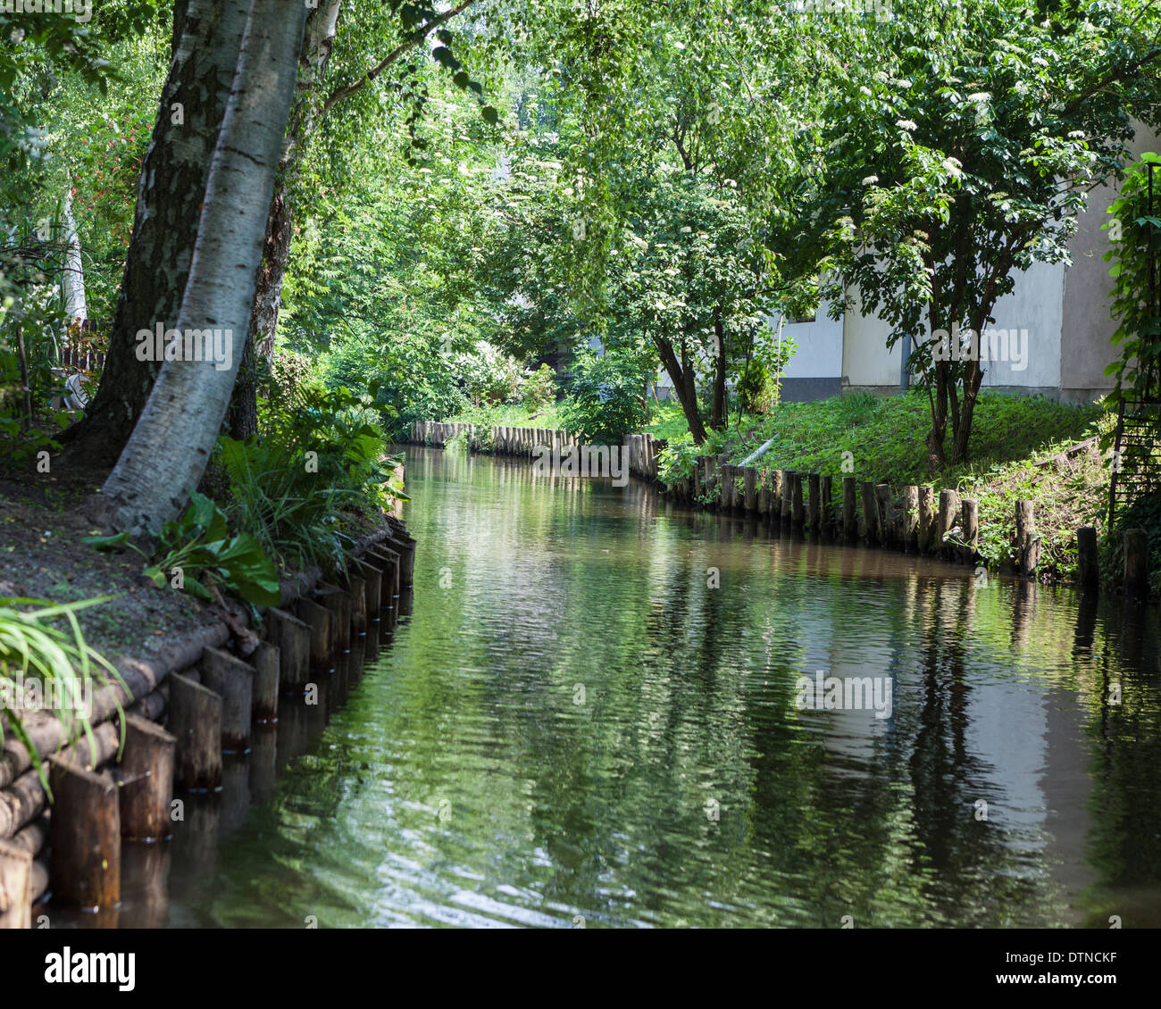 Trees, Calm waters and reflections of a pretty in the Spreewald ...