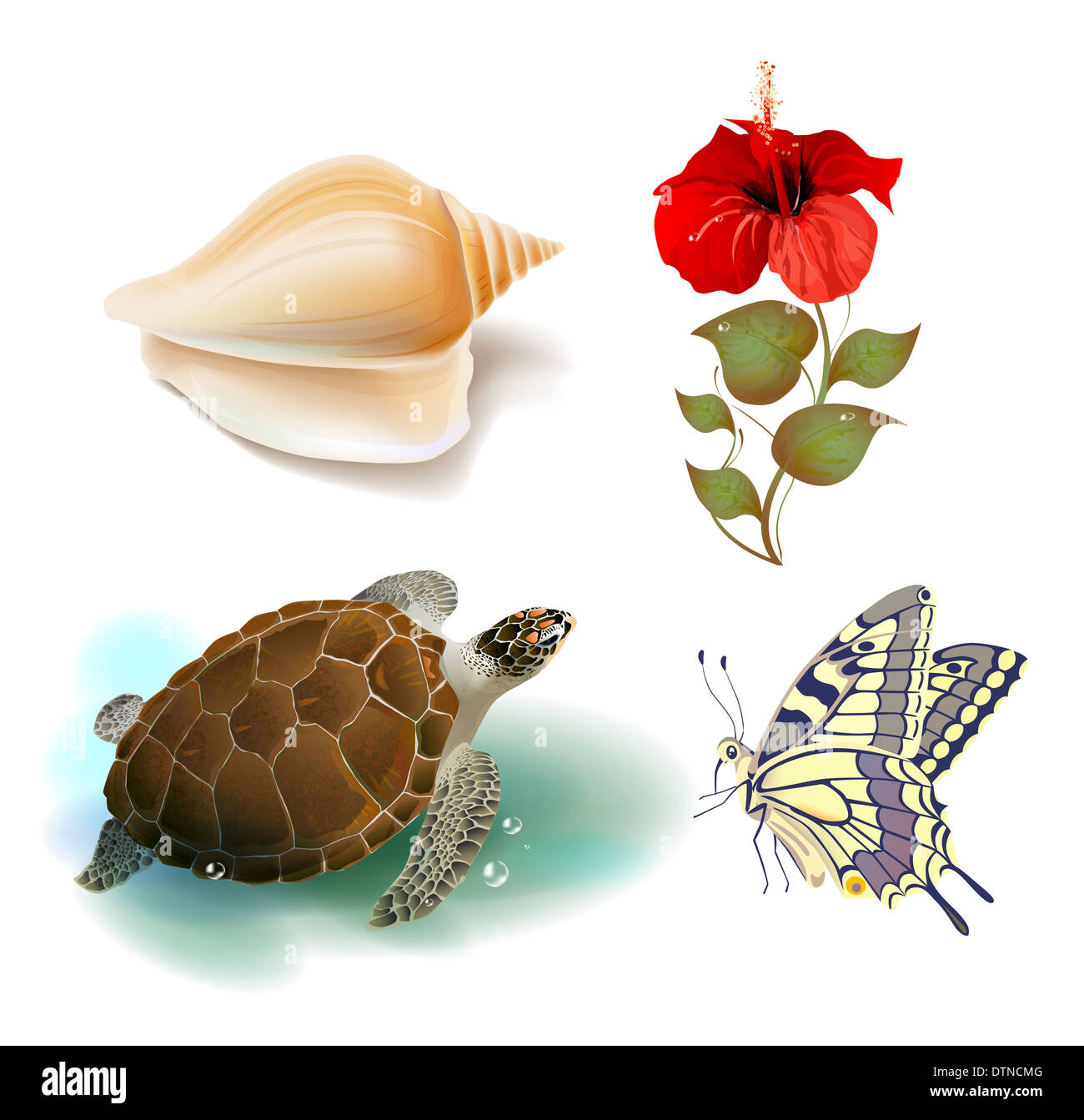 Exotic tropical flower icons hi-res stock photography and images - Alamy