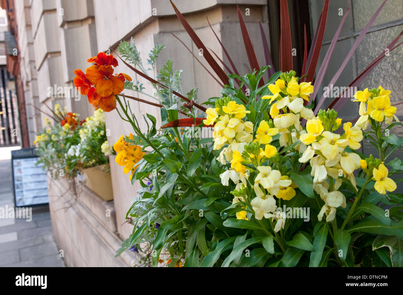 Pretty flowers outside the Albert Hall in Nottingham, England UK Stock ...