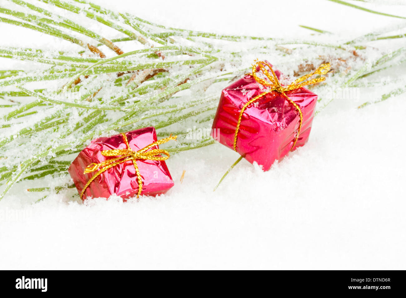 Close up fir christmas hi-res stock photography and images - Alamy