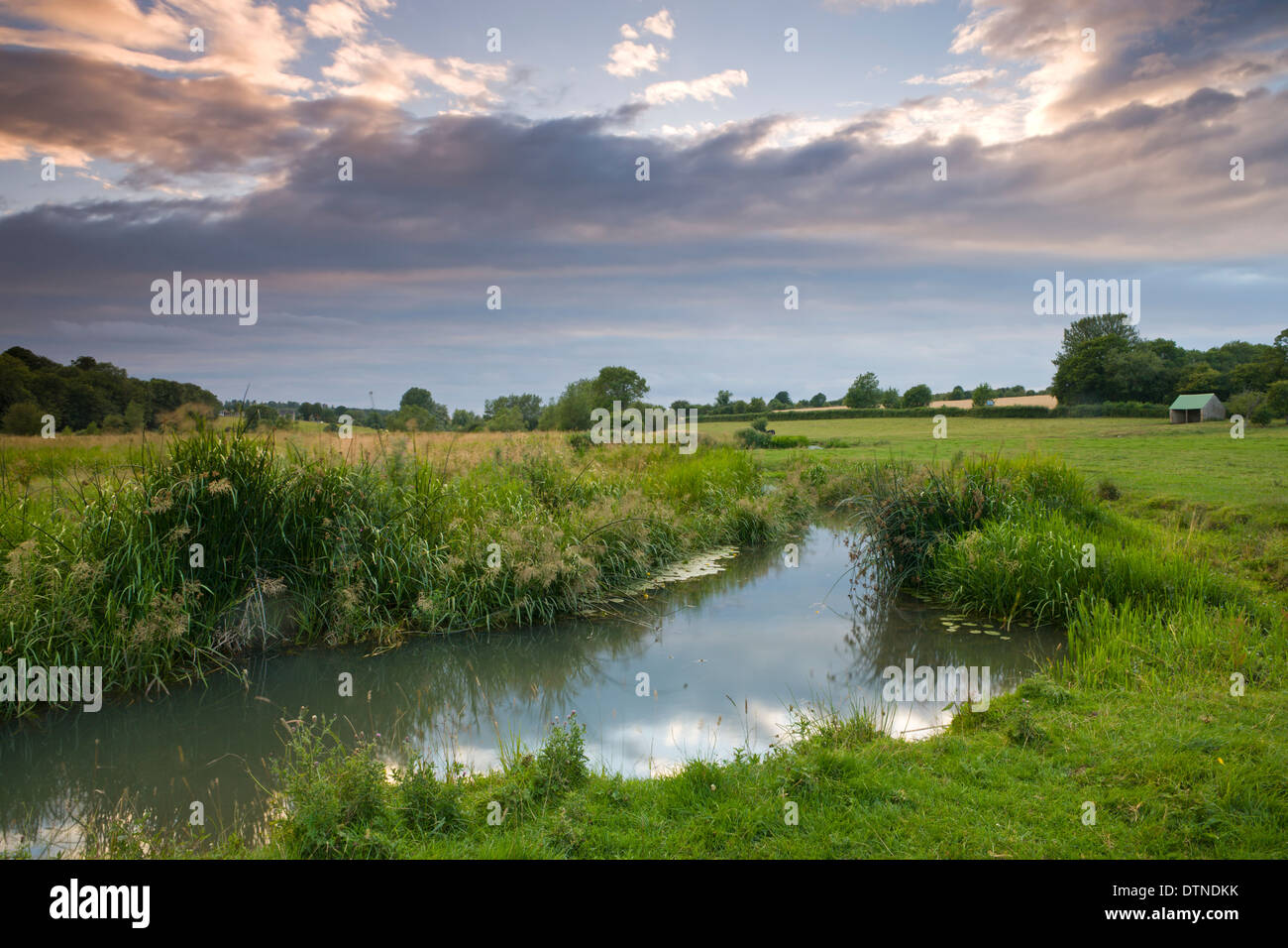 River Windrush meanders throughout the water meadows just outside of ...
