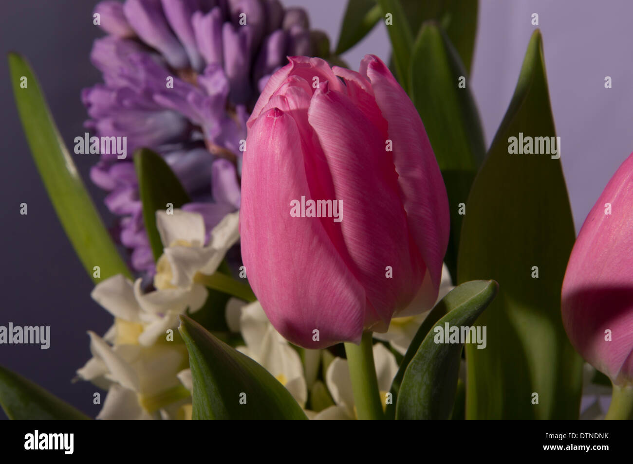 Spring flowers spring bouquet hi-res stock photography and images - Alamy