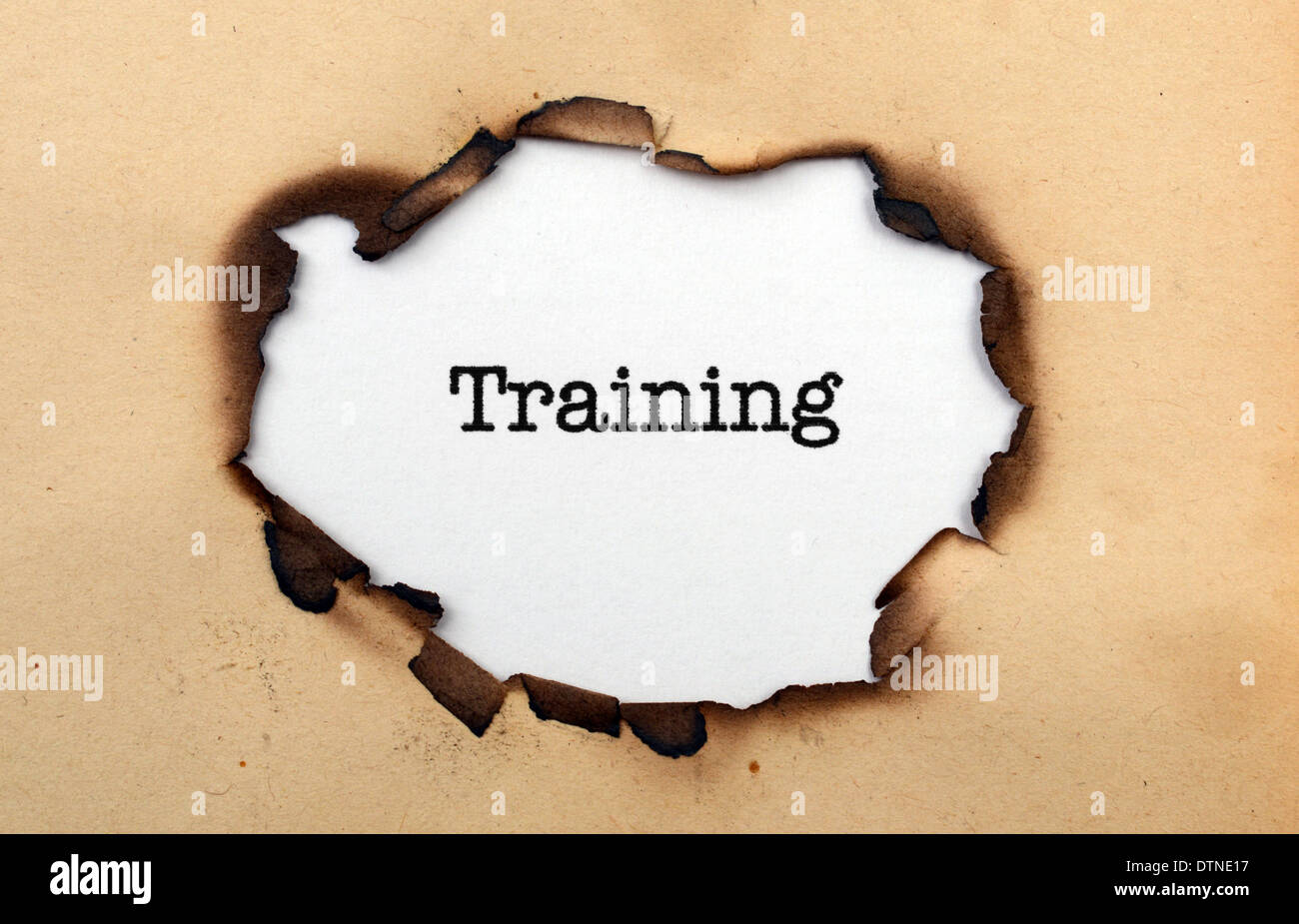 Supervise manager training hi-res stock photography and images - Alamy