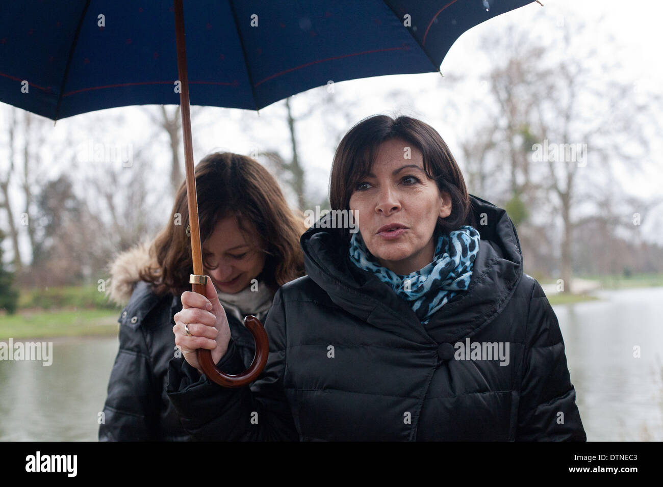 Paris, France. 20th Feb, 2014. Anne HIDALGO today presented its plan ...