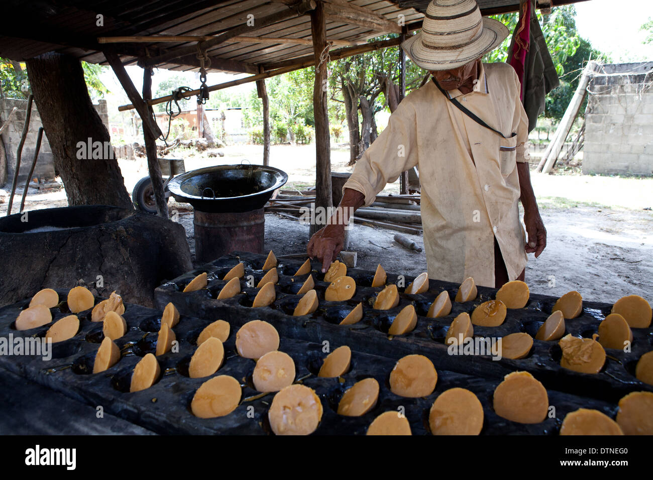 Panamanian man with Raspadura ready for use, near Penonome, Cocle ...