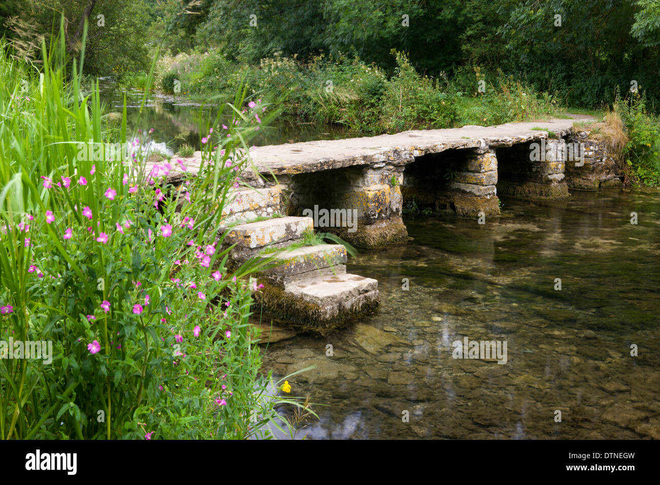 Stone clapper bridge crossing the River Leach at Eastleach Turville in ...