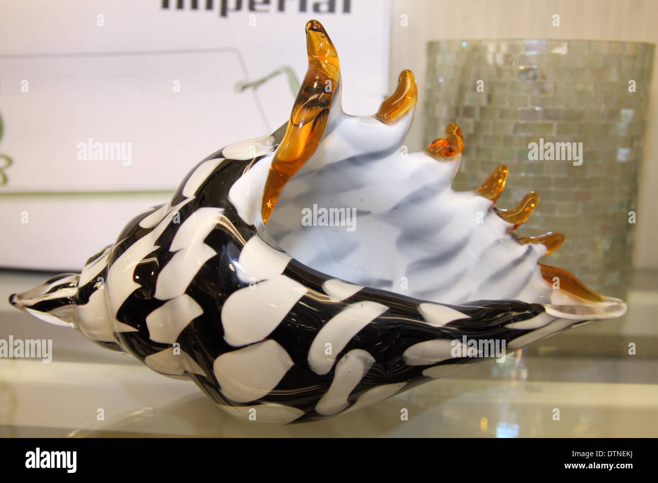GLASS CONCH SHELL Stock Photo - Alamy