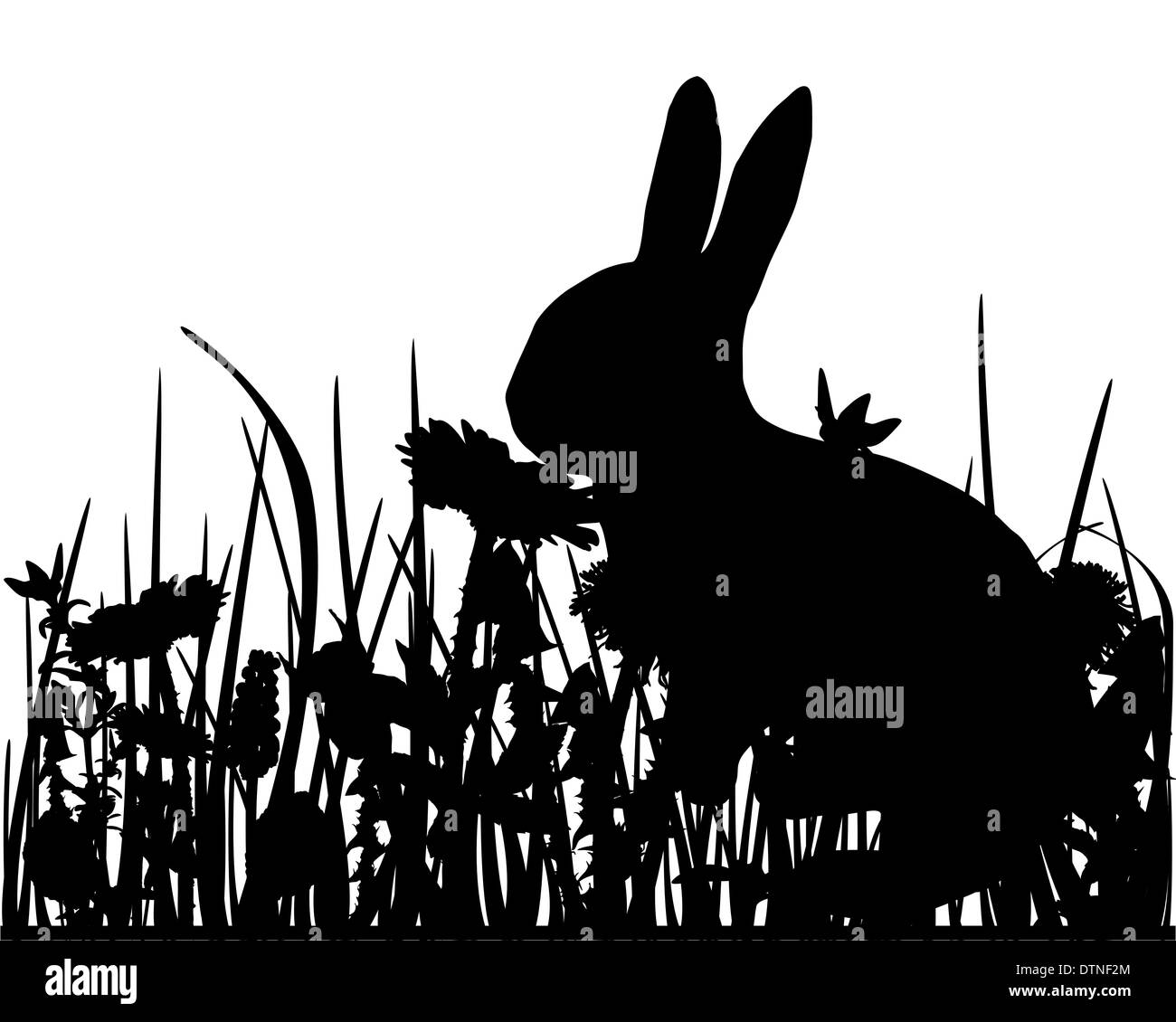 Rabbit in the meadow Stock Photo - Alamy