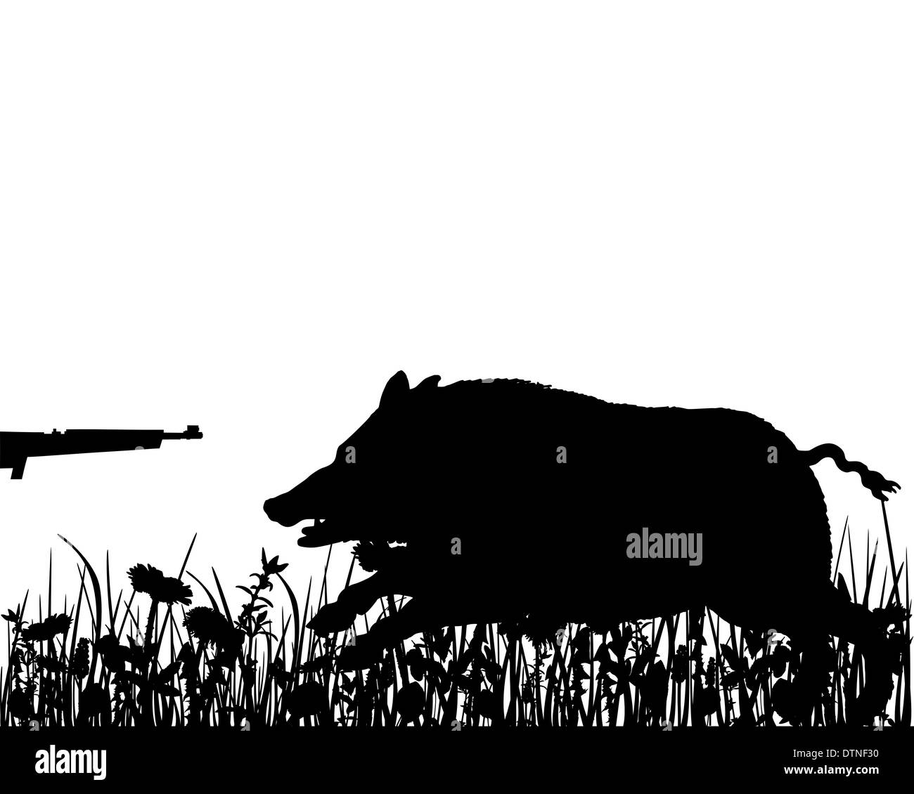 Wild pig hunting Black and White Stock Photos & Images - Alamy