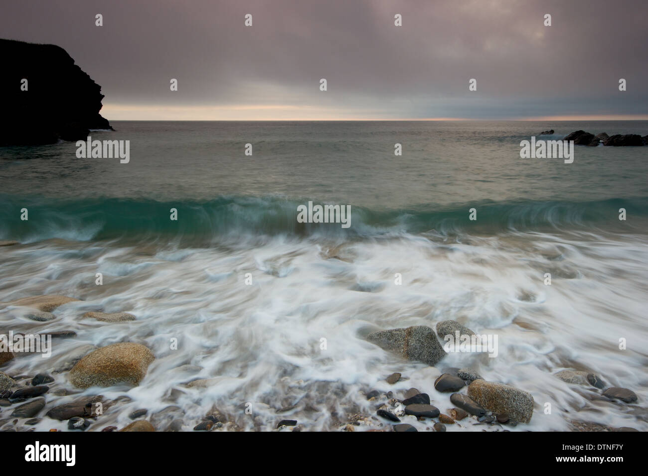 Sand dollar with wave hi-res stock photography and images - Alamy