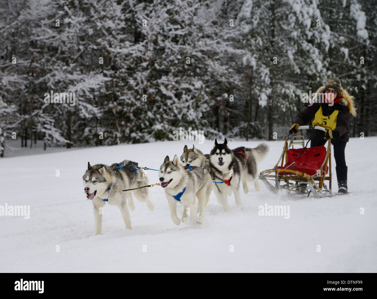 Pulling trees hi-res stock photography and images - Alamy