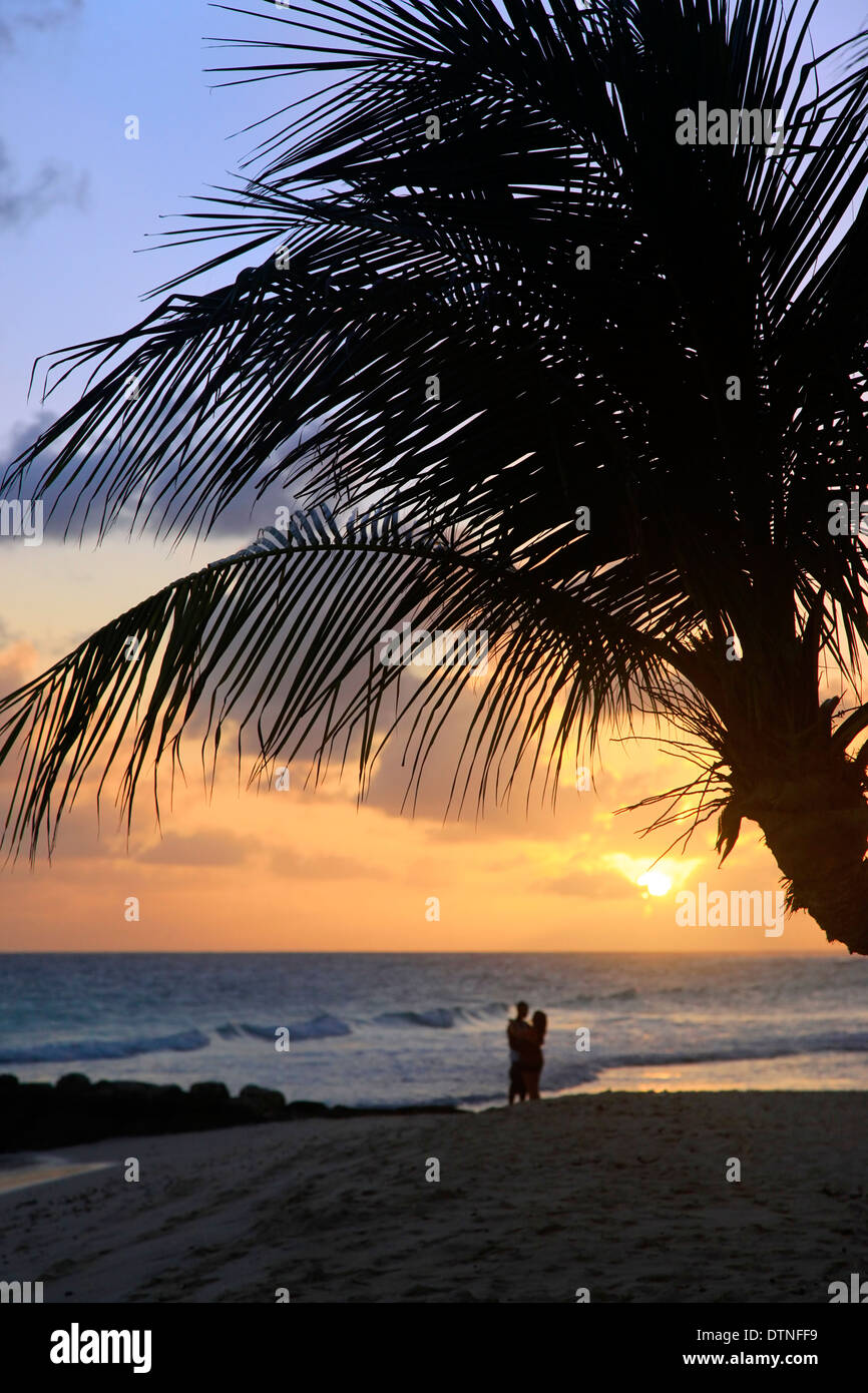 Romantic couple at beach with sunset in the background at Barbados ...