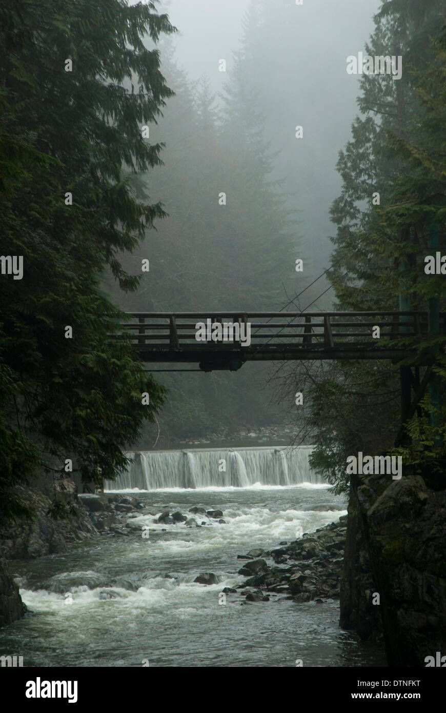 Wooden bridge across the Capilano River in the rain forest of Capilano ...