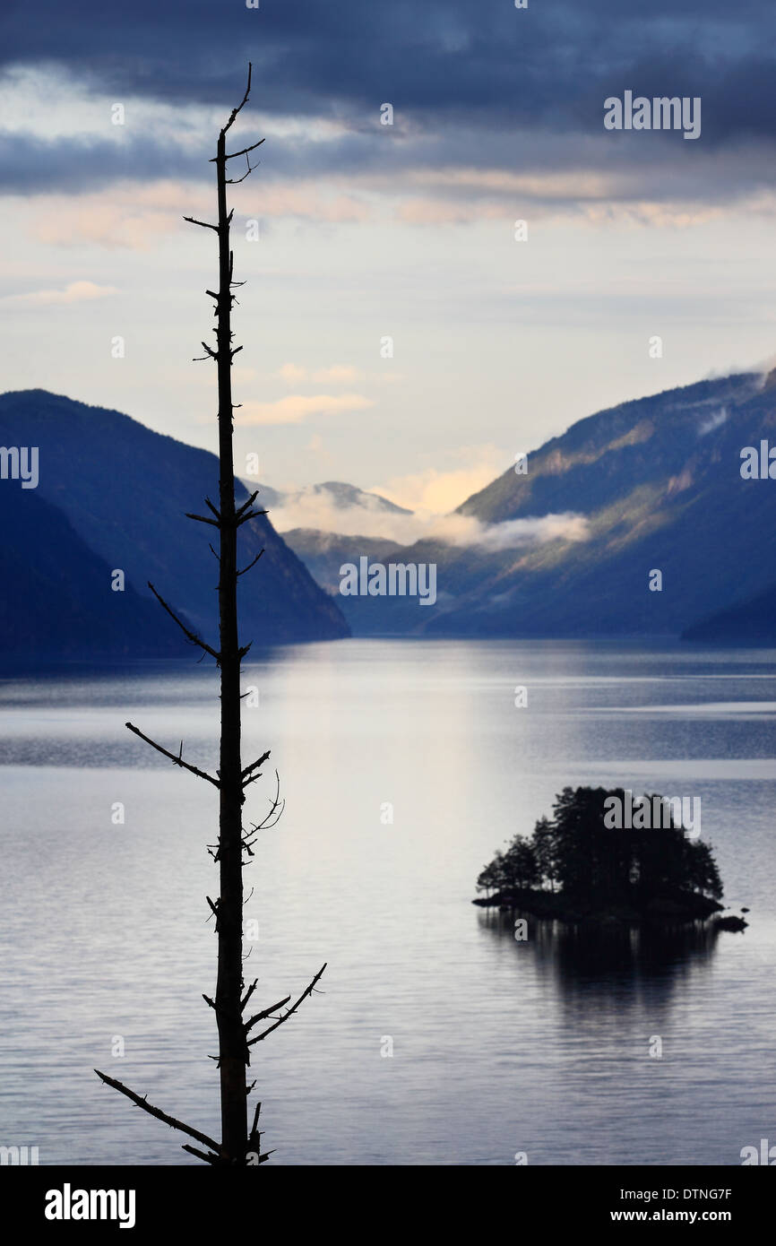 A tree and small island at Lake Bandak is in the municipalities of ...