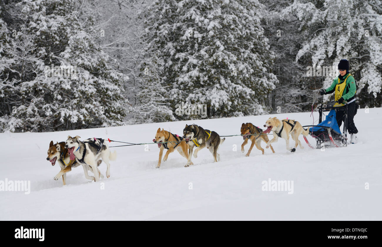 Musher canada hi-res stock photography and images - Alamy