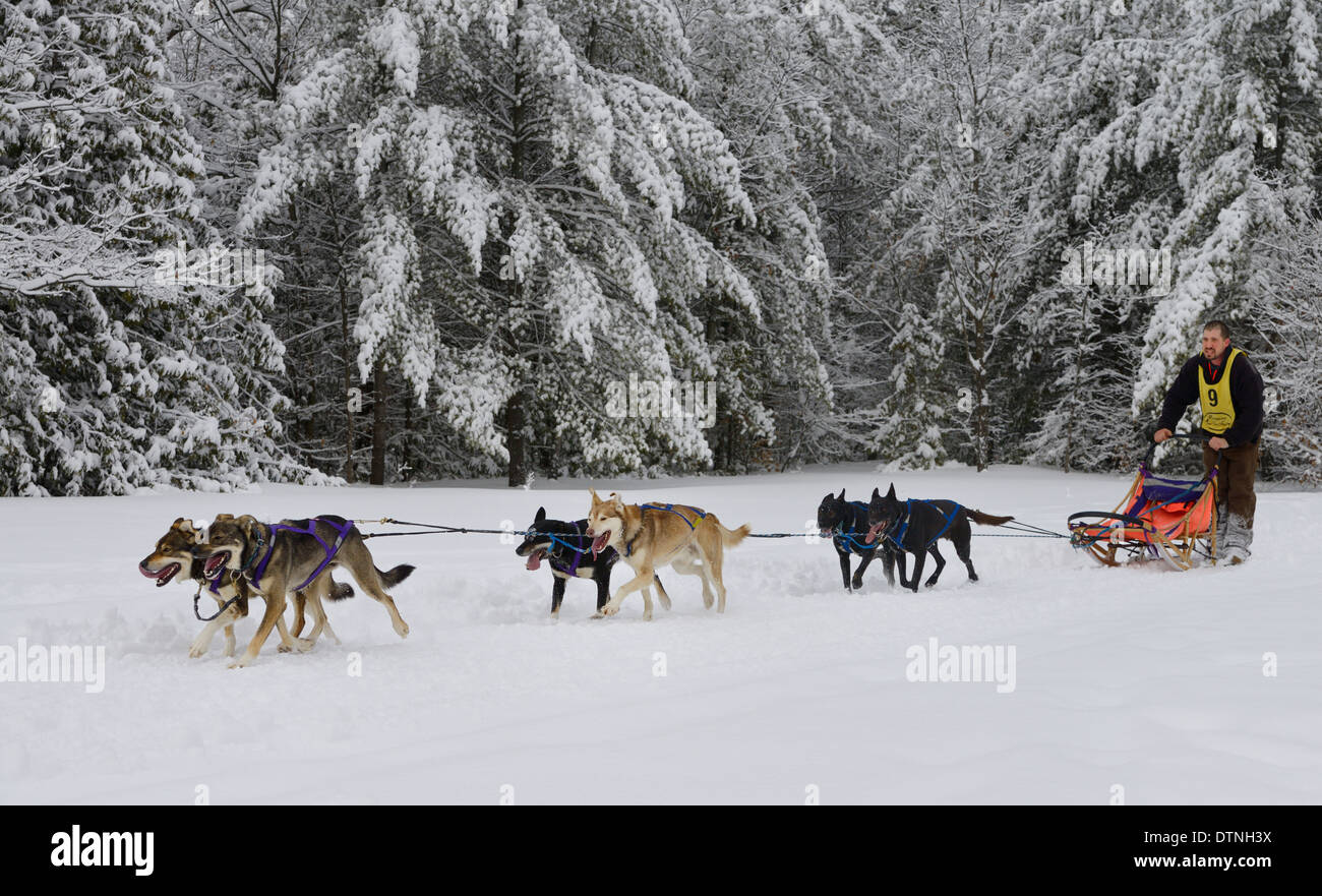 Hat into race hi-res stock photography and images - Alamy