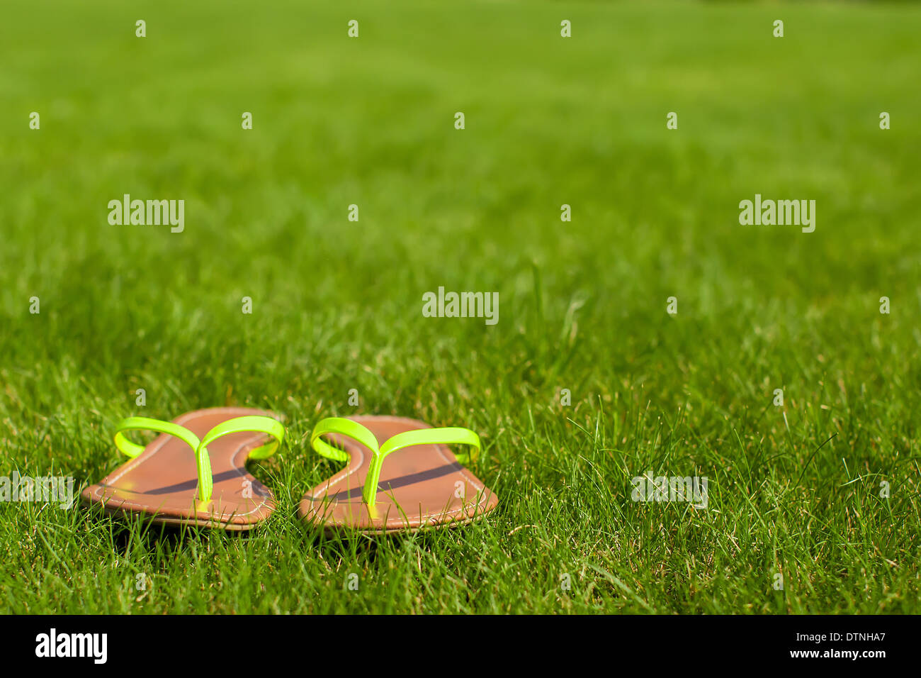 Feet flip flops on grass hi-res stock photography and images - Alamy