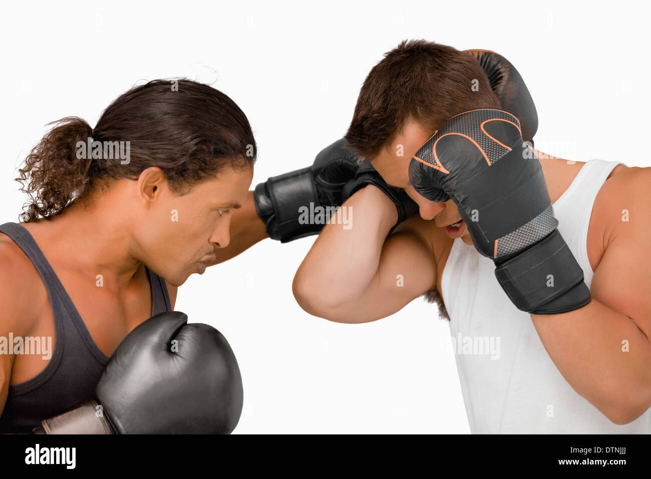 Side view of two male boxers Stock Photo - Alamy
