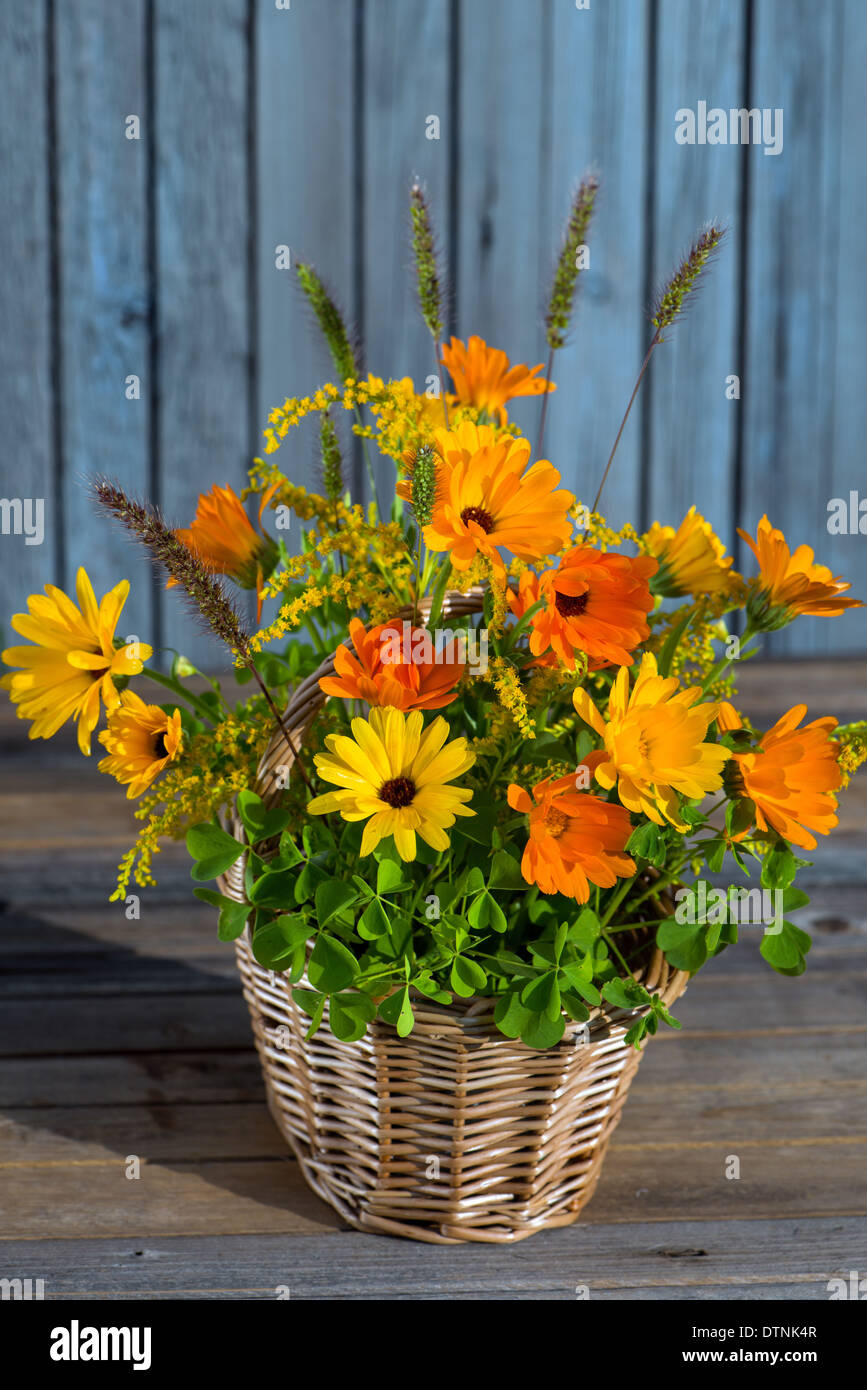 Colorful autumn wildflowers hi-res stock photography and images - Alamy
