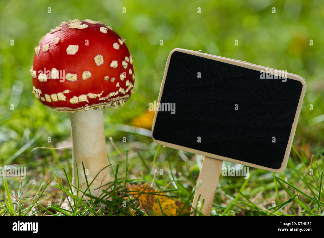 Sign mushroom hi-res stock photography and images - Alamy
